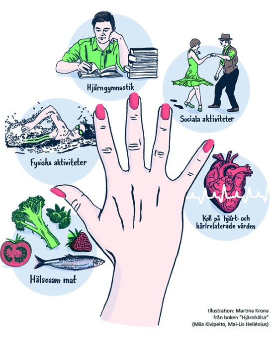 Använd FINGER-modellen för att förebygga kognitiv svikt och förbättra ...